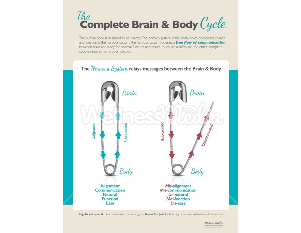 Chiropractic Safety Pin Cycle Poster