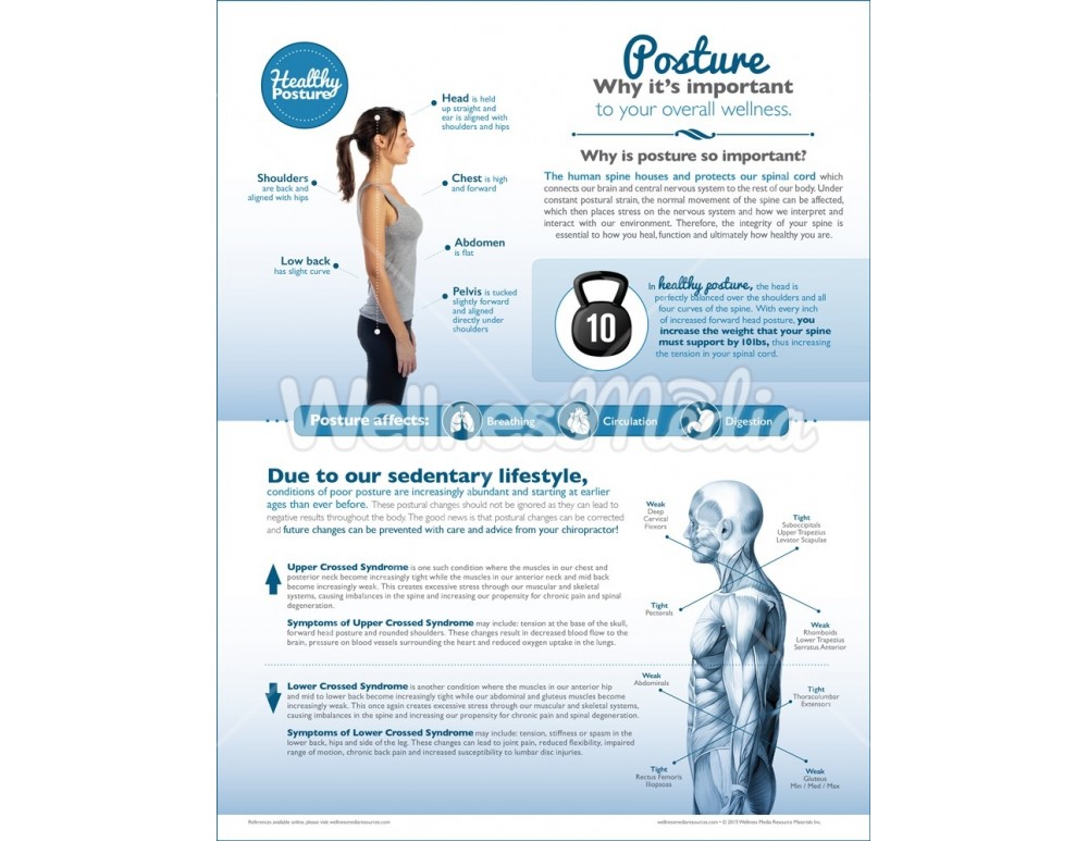 Chiropractic Posture Handout