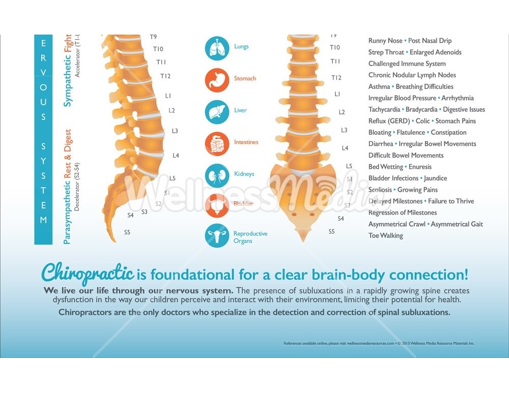 Chiropractic Kids Spinal Nerve Handout