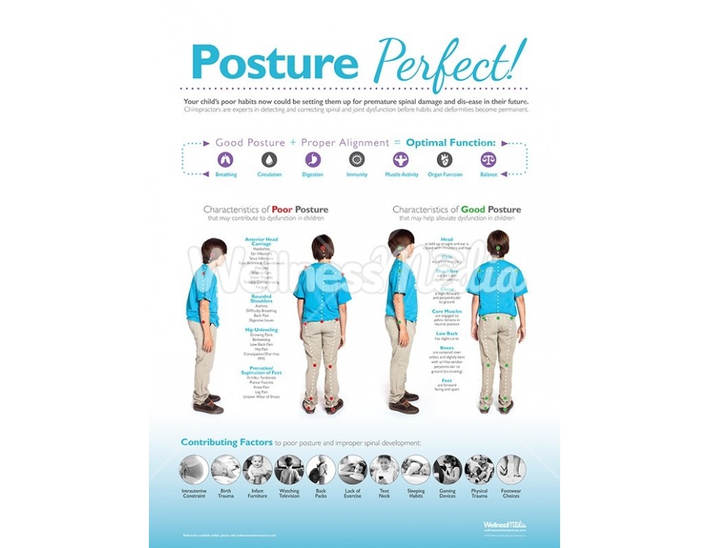 Chiropractic Perfect Posture Poster