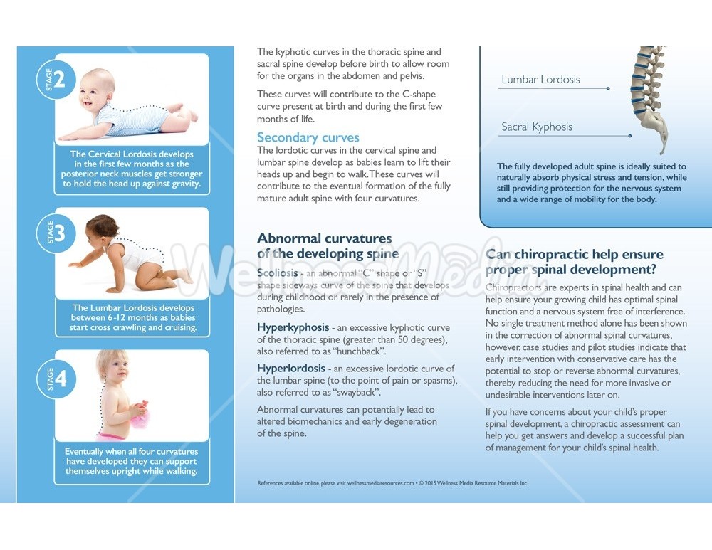 Spinal Development Handout